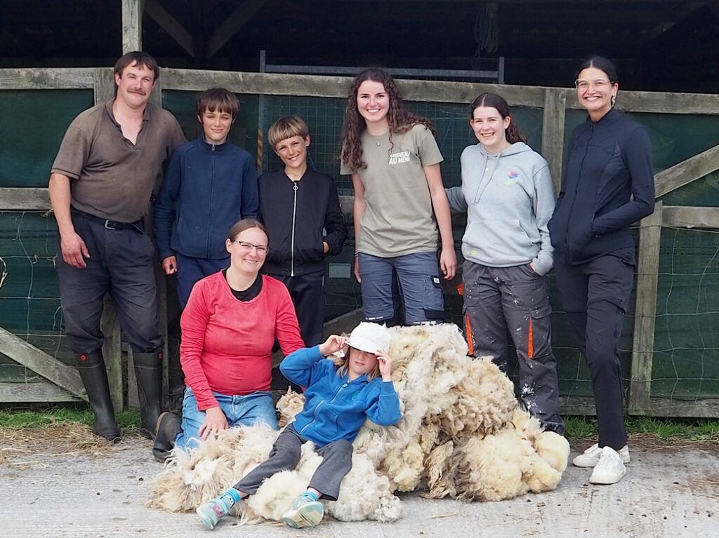 Hand Shearing – Wwoof Ireland